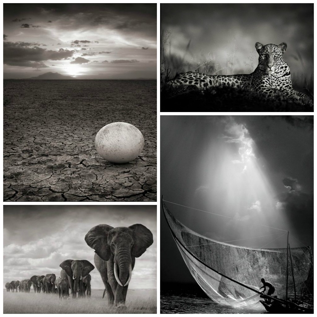 Nick Brandt Archives - PODcast