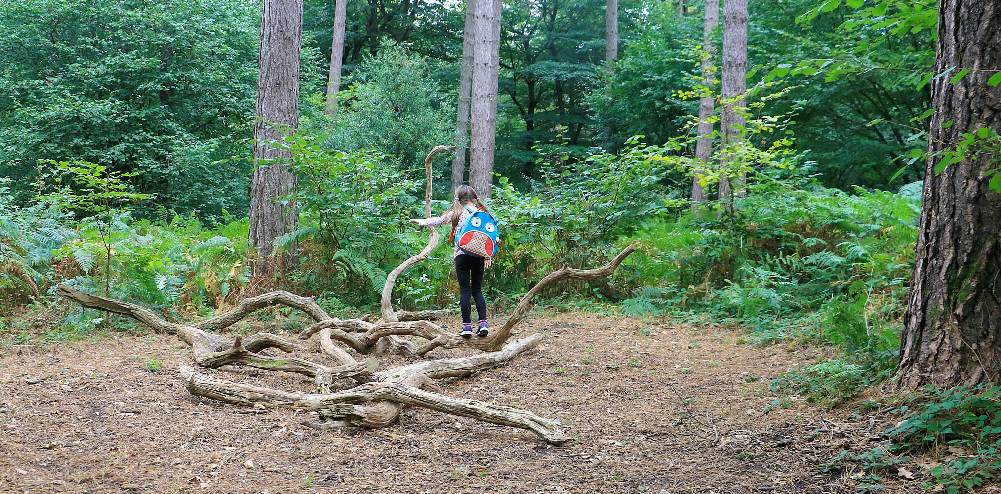 Den building in the forest - PODcast